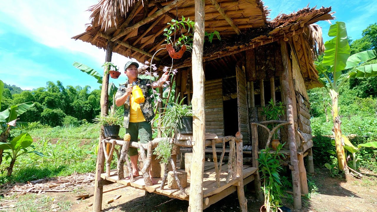 Building a Wooden and Bamboo House in the Rainforest Alone. Self ...
