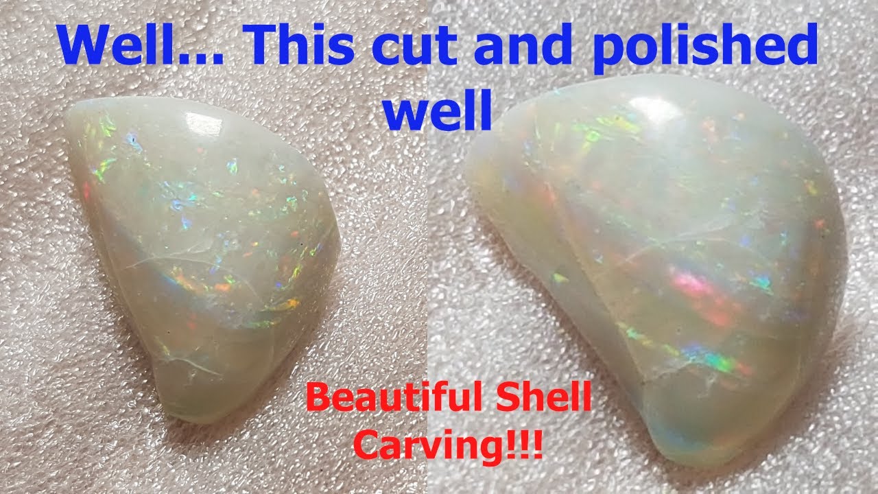 Opalised Mussel Shell Fossil Cut and Polish, Unexpectedly Beautiful ...