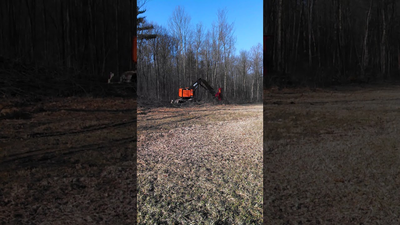 Hotsaw windrowing trees and brush for land clearing - YouTube