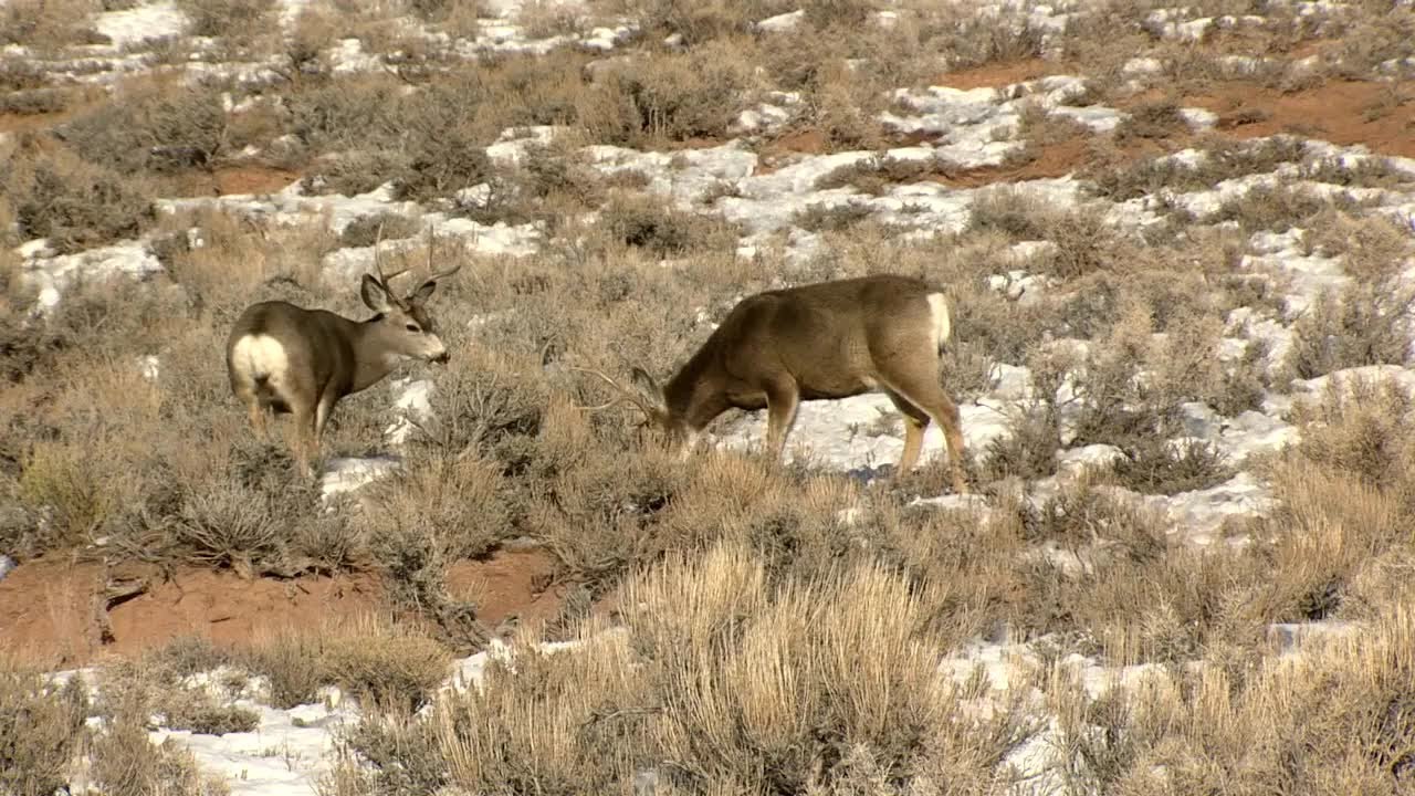 2024 winter range closures - YouTube