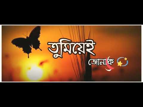 Assames WhatsApp stats