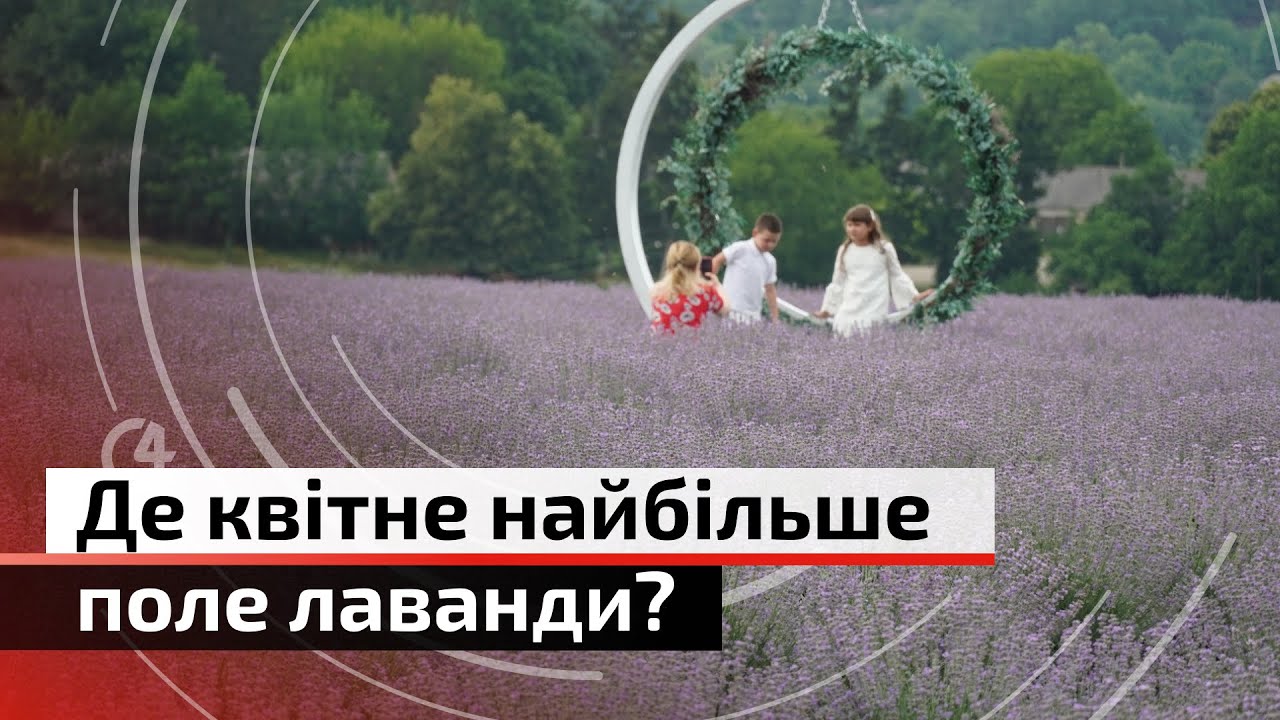 Найбільше поле лаванди в Україні де воно квітне С4 Youtube