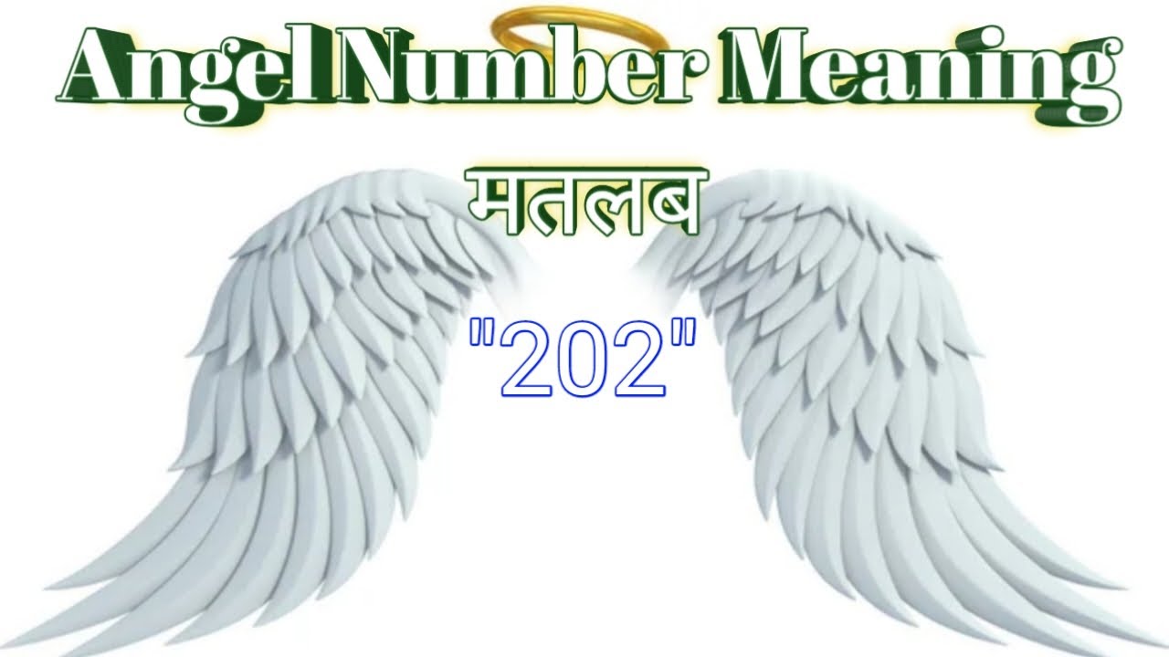 Angel Numbers 202 Meaning | Decoded Angel Numbers | Mysterious Angel ...