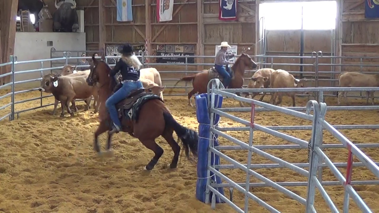 2017-07-21 AUTHENTIC COWBOYS RANCH SORTING - YouTube