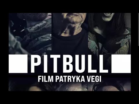 serial Pitbull 2022 odcinek 2