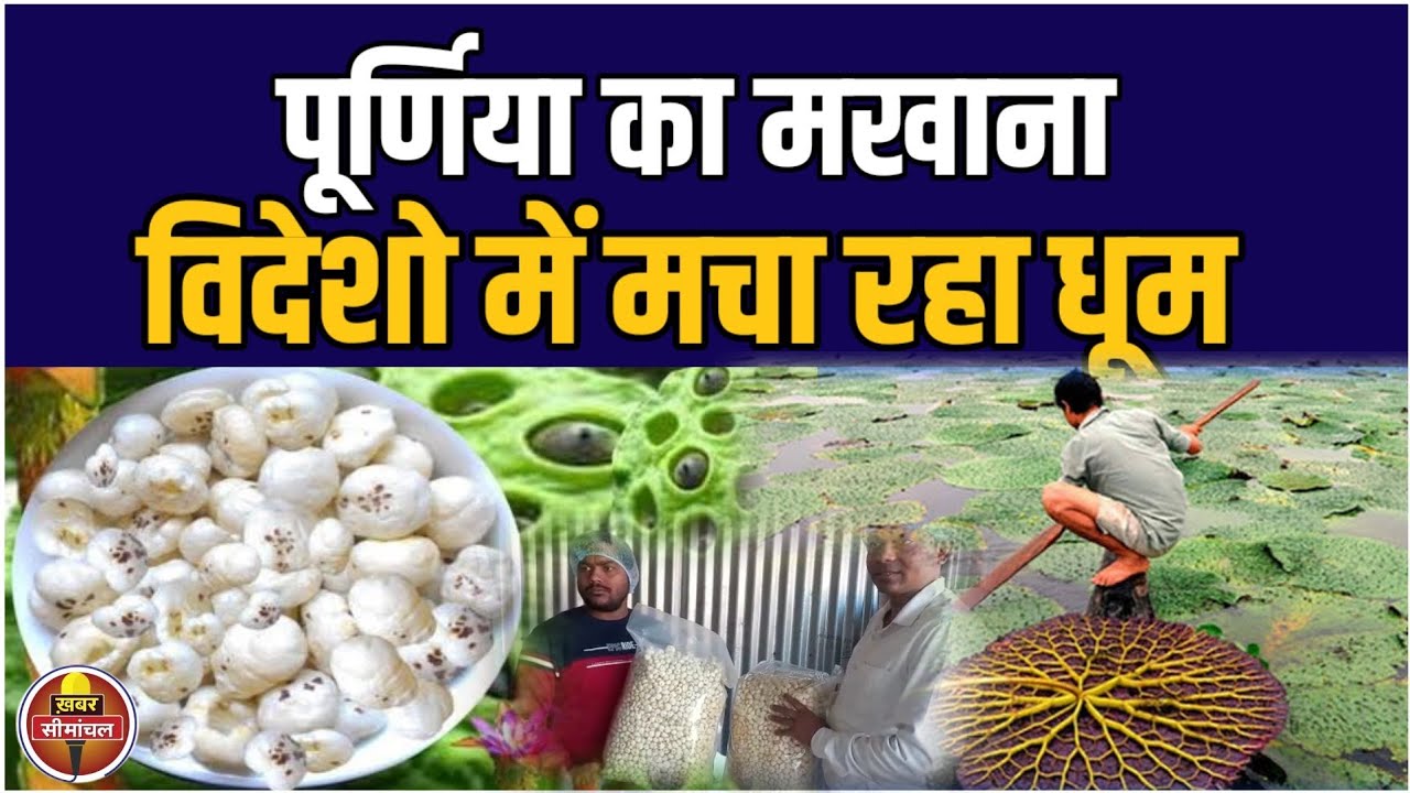 पूर्णिया का मखाना यूरोप में मचा रहा है धूम, युवा किसान Manish और Sumit ...