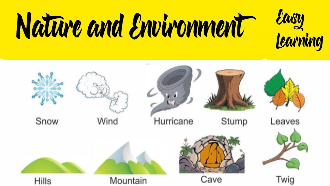 English Vocabulary with Nature & Environment | Jacinta's Glimpses - YouTube