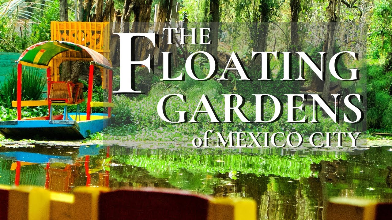Explore the FLOATING GARDENS of Mexico City 🇲🇽 by Canoe 🛶 Nature Sounds | Relaxing Canal Ride ...