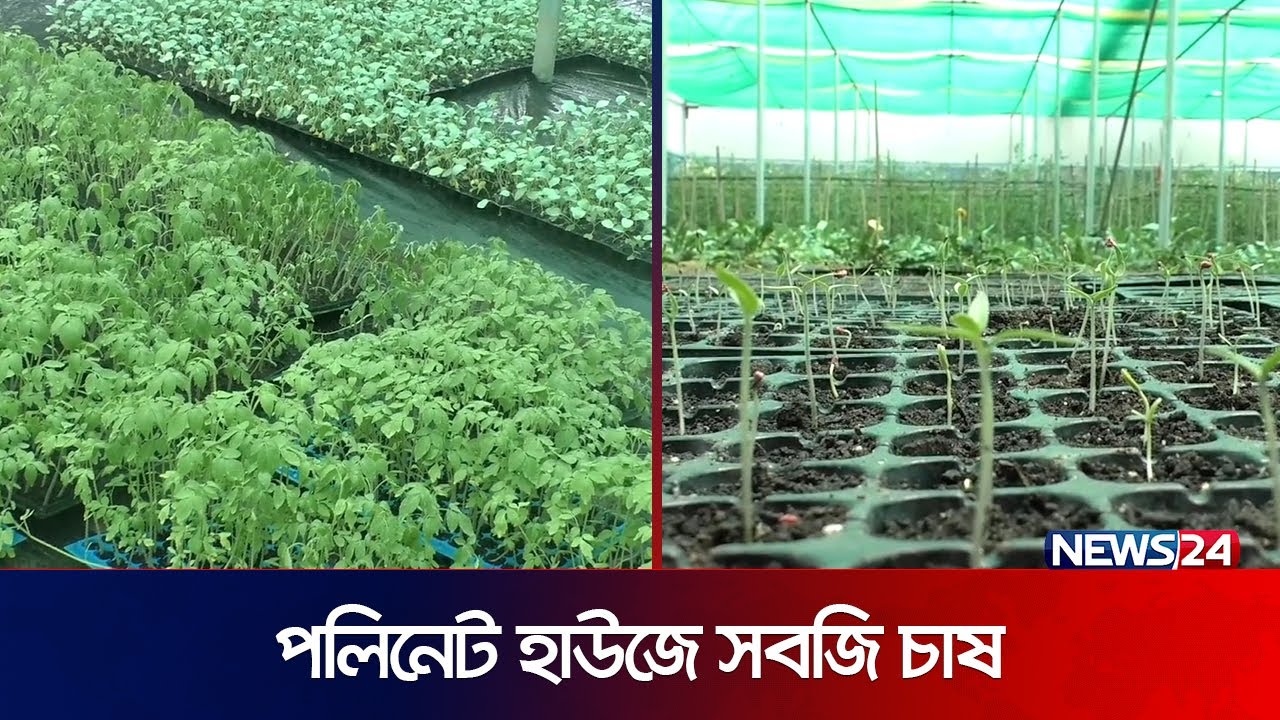 ‘পলি নেট হাউজ’ চারা উৎপাদনের এক আধুনিক প্রযুক্তি | Polynet house ...