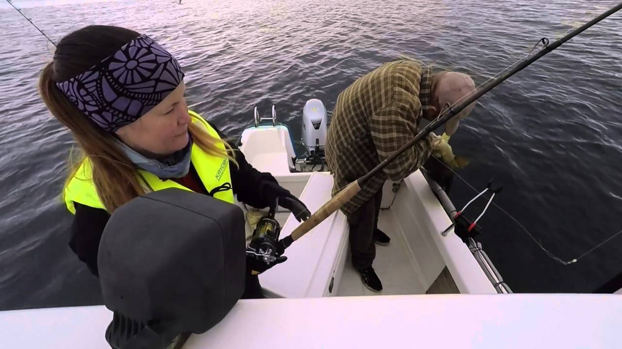 Big Cod Fishing Norway - YouTube