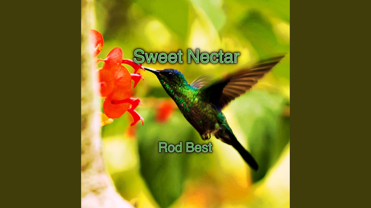 Sweet Nectar - YouTube