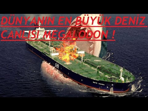 DÜNYANIN EN BÜYÜK DENİZ CANLISI !!
