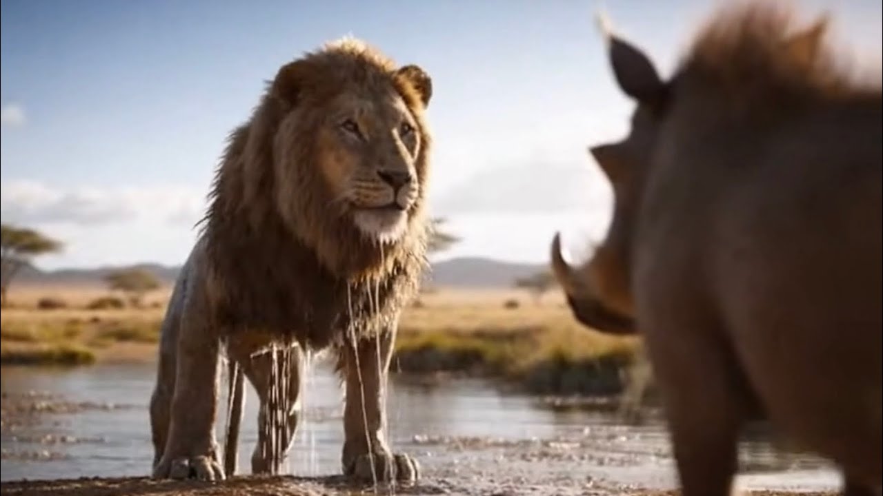 Warthog vs lion and Warthog friend with lion 😂😂 - YouTube