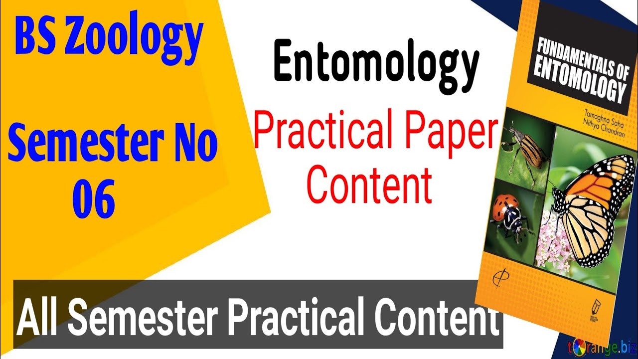 Entomology Practical Paper Content II Semester No 06 || BS Zoology ...