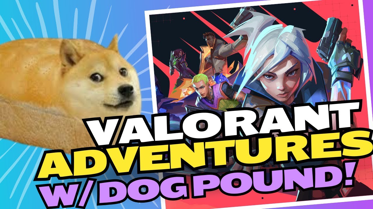 Valorant Adventures with Dog Pound - YouTube