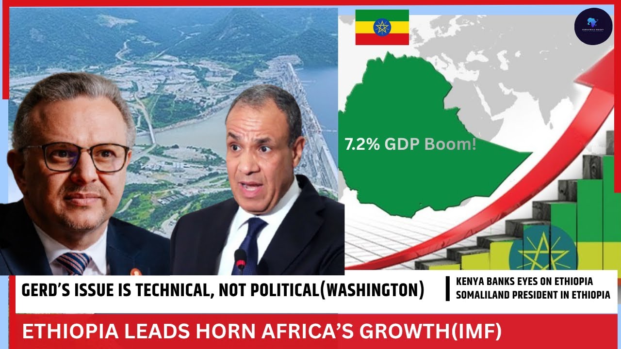 GERD Dispute ‘Purely Technical,’ Says U.S. — IMF Sees Ethiopia Driving ...
