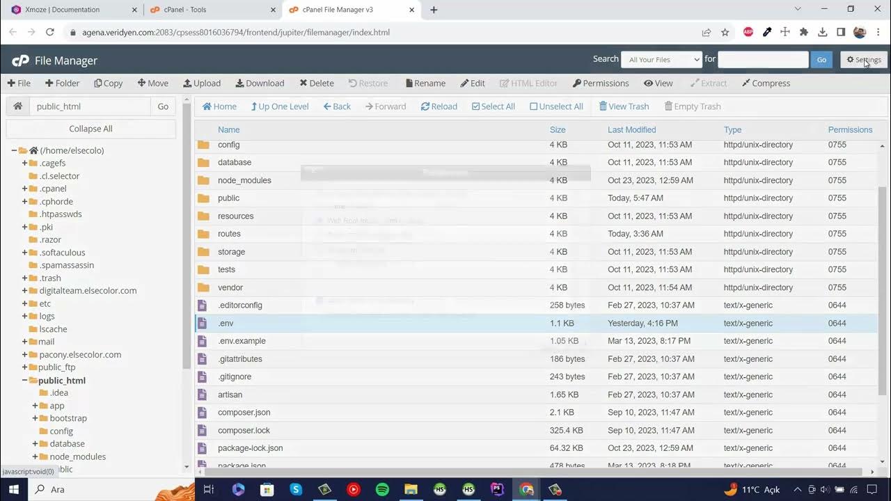 Xmoze - Multipurpose Business Script (CPANEL SETUP) - YouTube