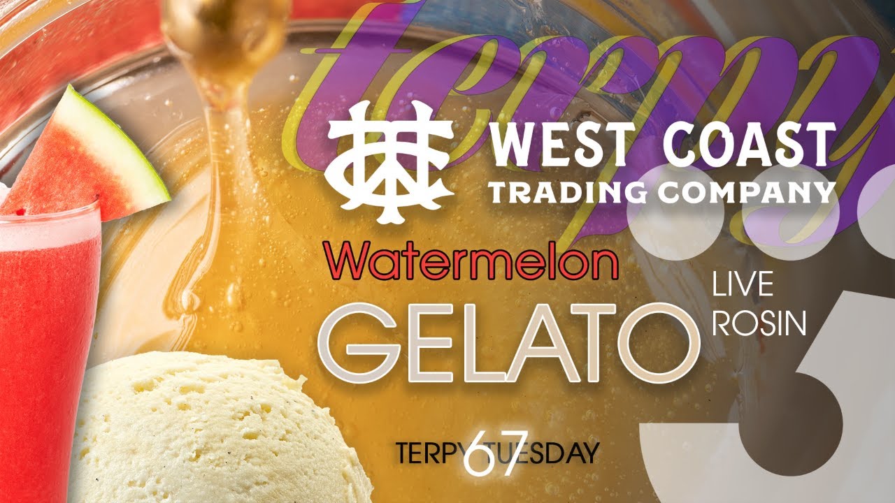 Terpy Tuesday Ep. 67: West Coast Trading Company Watermelon Gelato Live ...