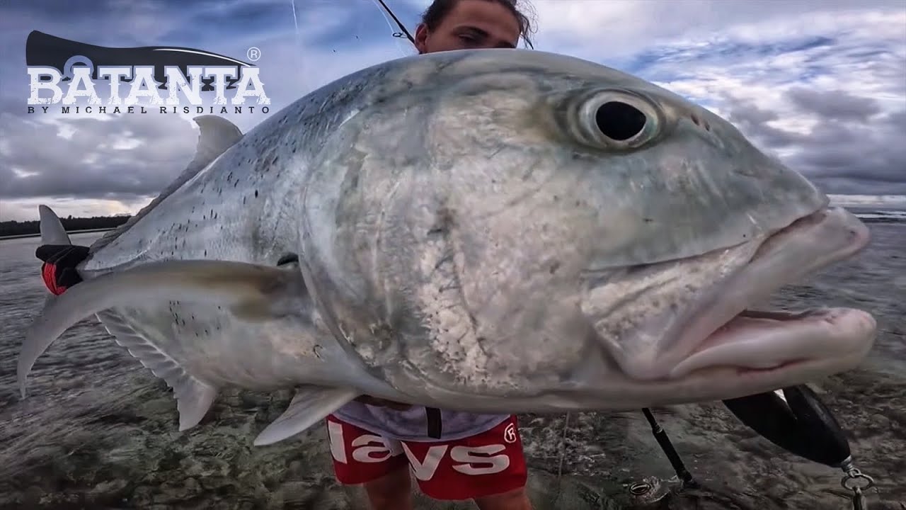 Crazy Big Fish | Ikan Besar Edan | Crazy Fishing Mapia Atoll Pacific ...