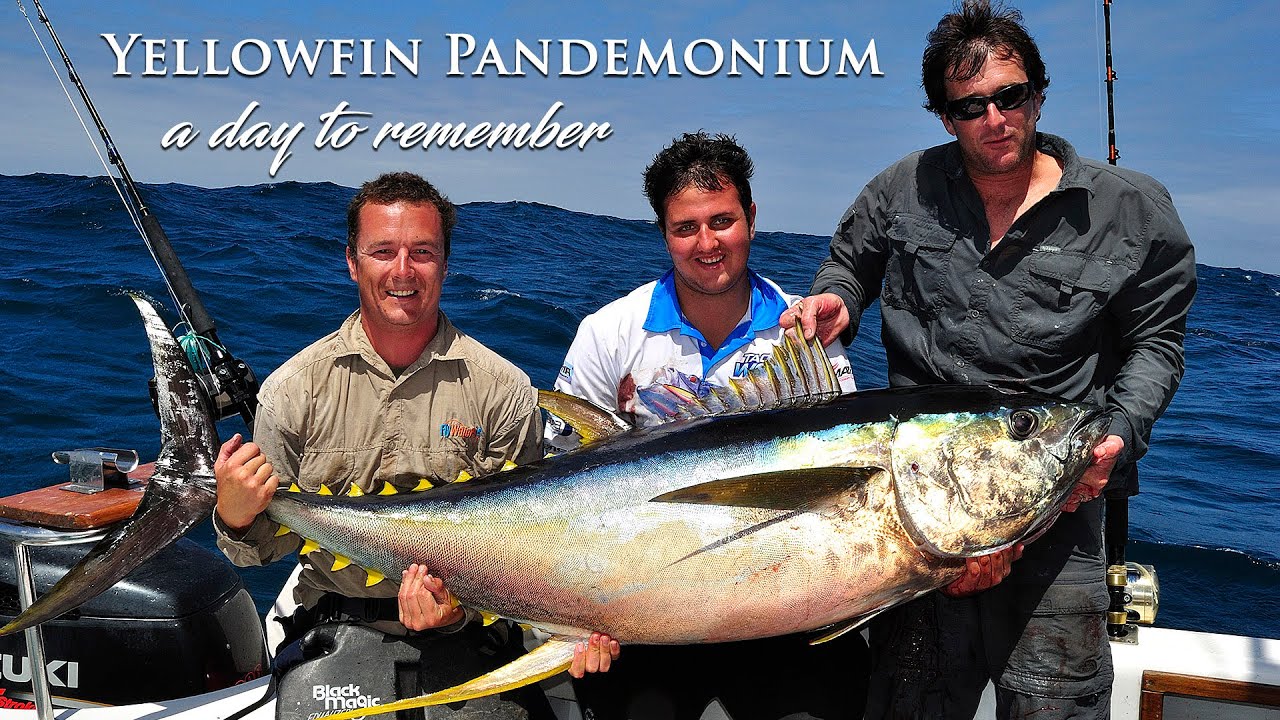 MONSTER YELLOWFIN TUNA ON TOPWATER {Fishing for the Giants of Cape ...