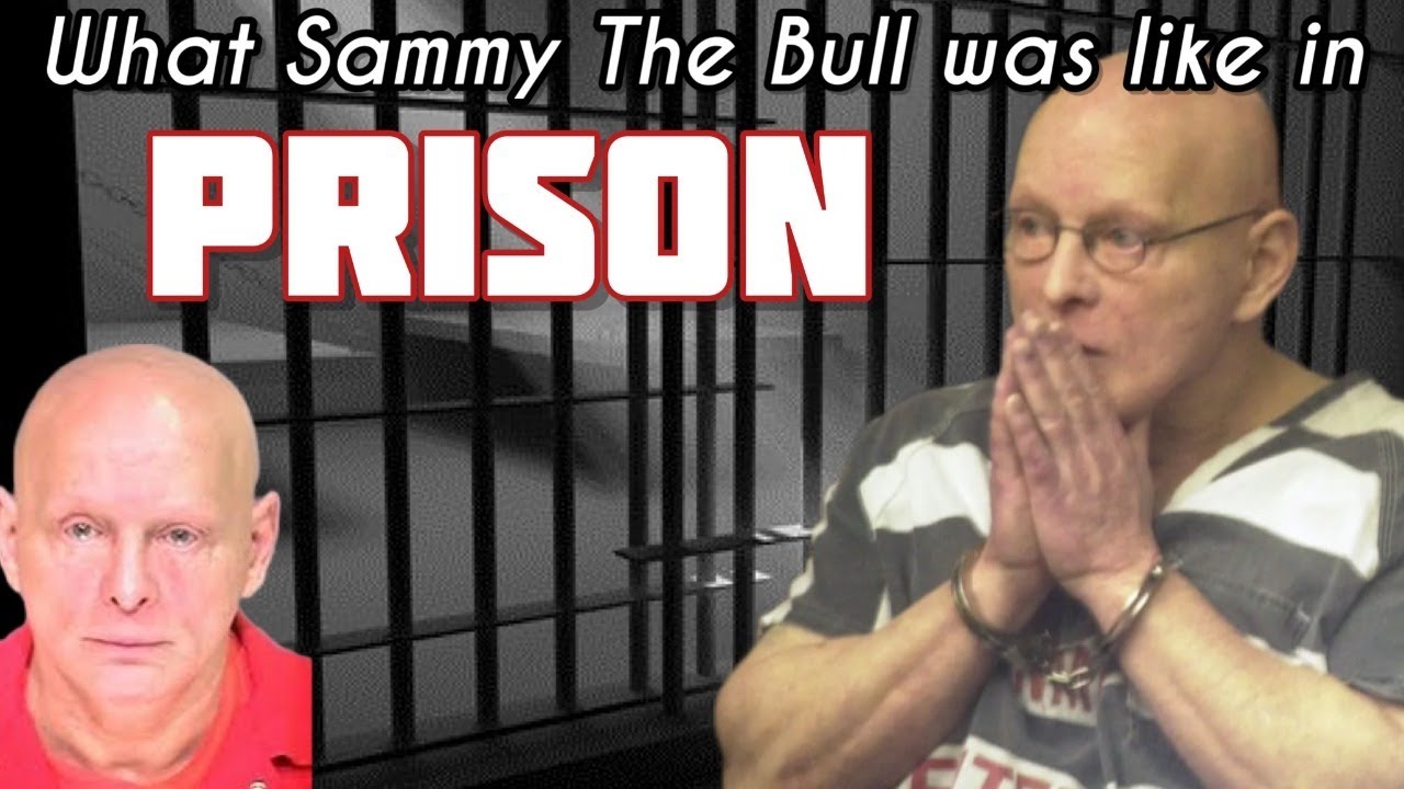 What Sammy The Bull was like in Prison #mobrat #mafiarat #gotti - YouTube