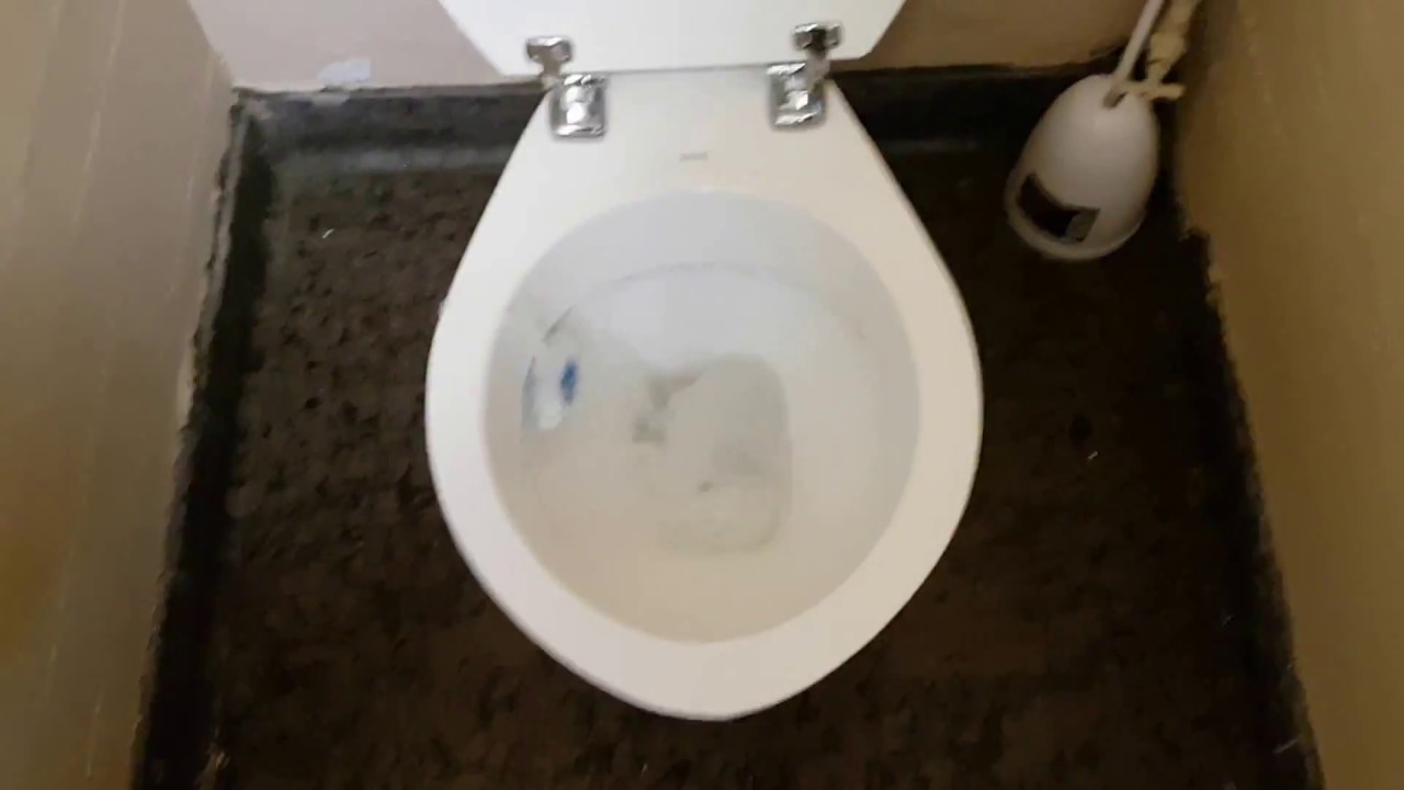 Shires Supaline/HLSP Dudley Tri-Shell, PH, Old Tupton (1) - YouTube