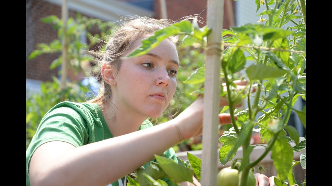 VCU's Monroe Park Campus Learning Garden addressing food insecurity ...