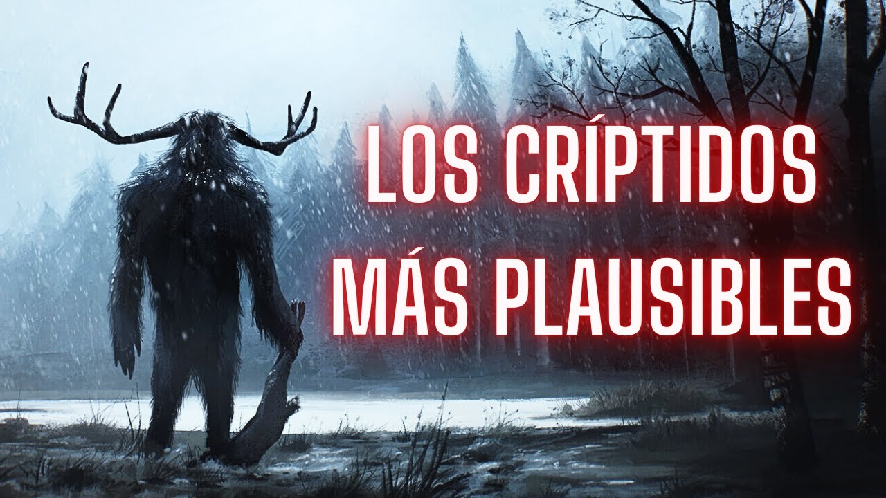 ¿LEYENDAS O REALIDAD? : TOP 6 críptidos más plausibles - YouTube