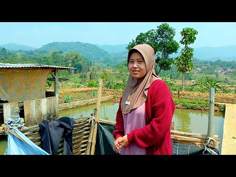 Realita KEHIDUPAN.. MAMAH MUDA GEMOY CANTIK ALAMI HIDUP SEDERHANA DIPELOSOK PEDESAAN