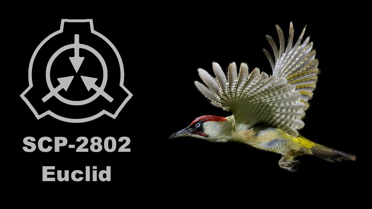 SCP-2802: Un-Woodpeckers - YouTube