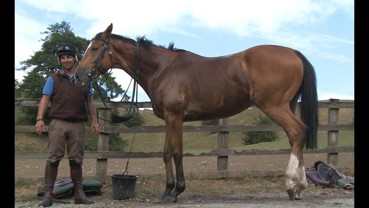 Jedd O'Keeffe and Joe Colliver with an update on Sam Spinner - YouTube