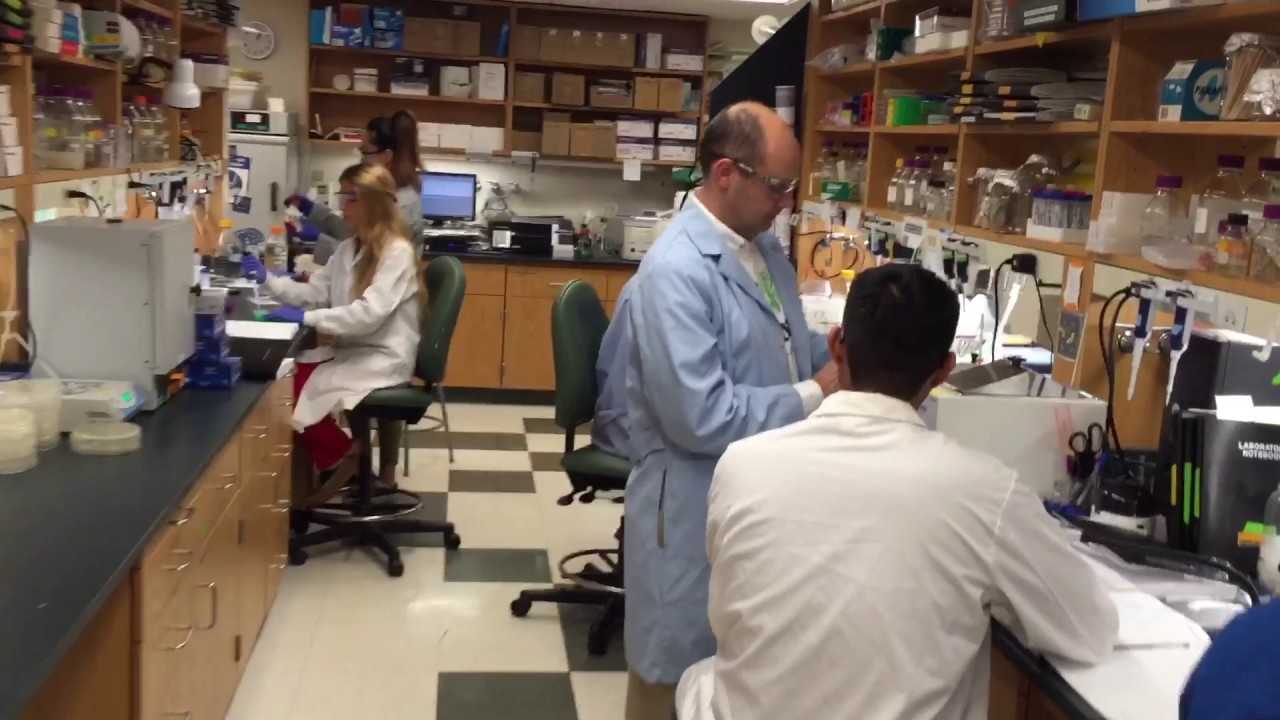 College of Science Mannequin Challenge - YouTube