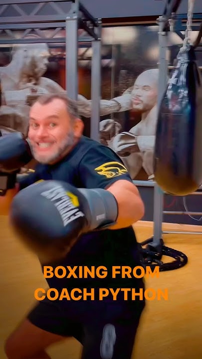 Боксерские навыки от Питона. Boxing skills from Python. #советыпитона ...