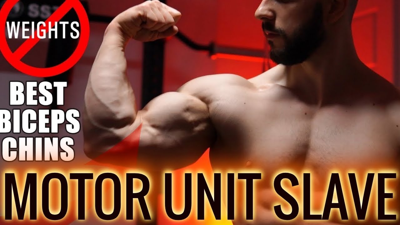 Alex Leonidas MOTOR UNIT SLAVE Best Chinups 4 Big Biceps | No Weights ...
