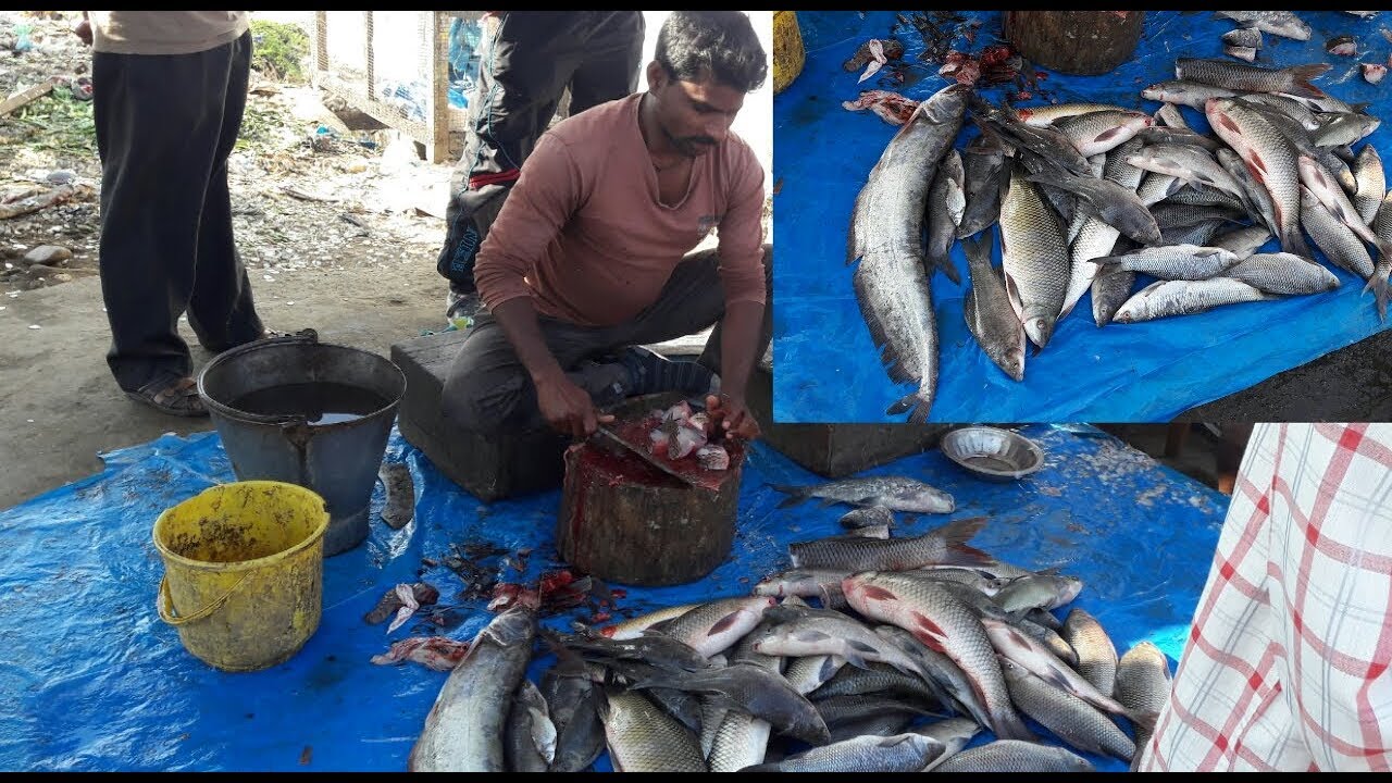 fisherman's fish cutting skills | india | Big Rohu - YouTube