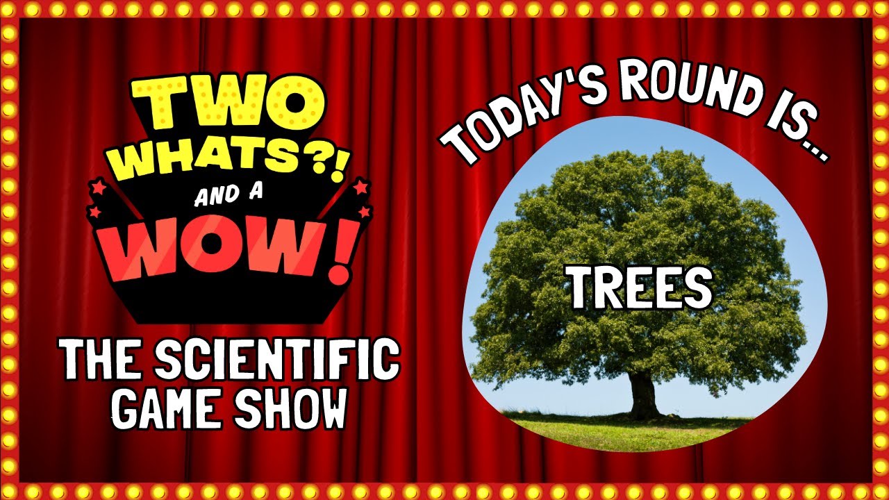 Guess Facts About Trees 🌳 | Two Whats?! And A Wow!: Scientific Podcast ...