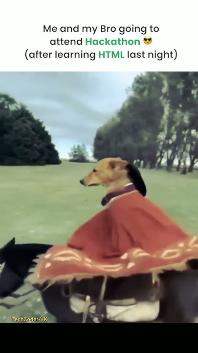 😁🤭programming Coding Webdevelopment Project C Javascript Funny