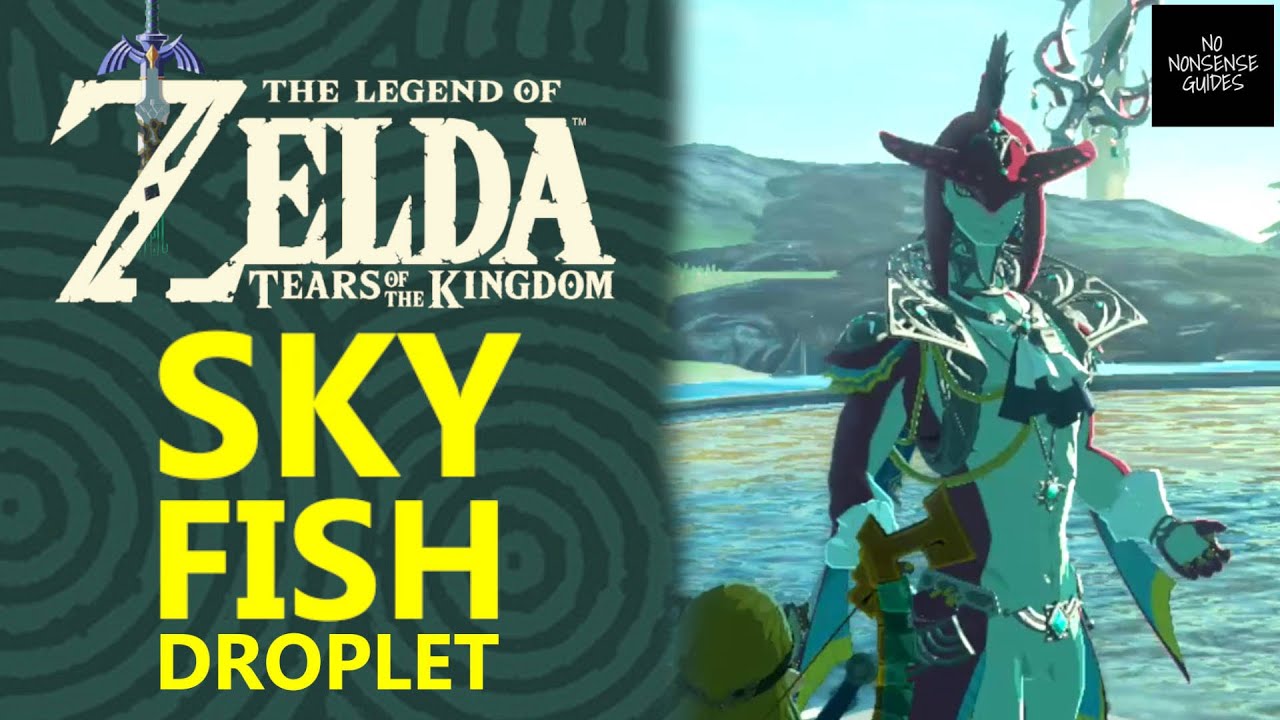 Sky Fish Droplet Location in Zelda Tears of Kingdom - Clues To The Sky ...