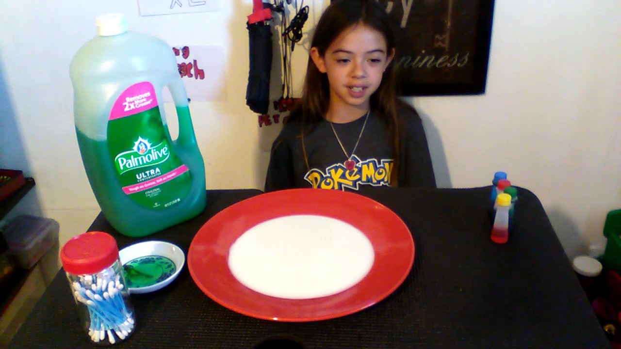 DIY food coloring science experiment - YouTube