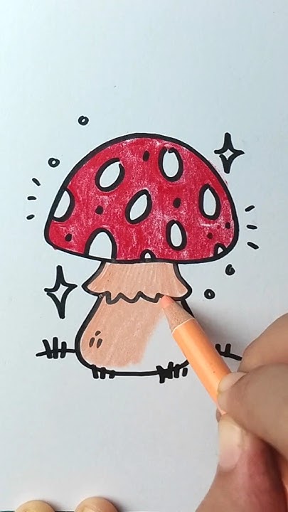 Mushroom Drawing Cara Menggambar Jamur Howtodraw Menggambar