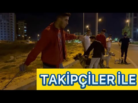 TAKİPÇİLERİMİN KÖPEKLERİ İLE BULUŞTUK GÜZEL ORTAM OLDU!!!!