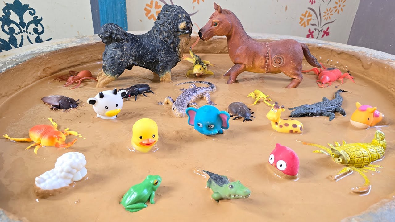 Muddy Adventures & Buggy Friends: Exploring Farm Forest Animals and ...