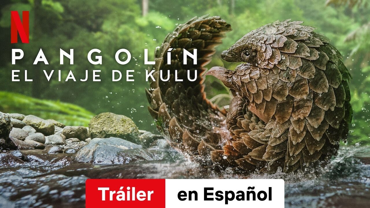 Pangolín: El viaje de Kulu (Tráiler) | Tráiler en Español | Netflix ...