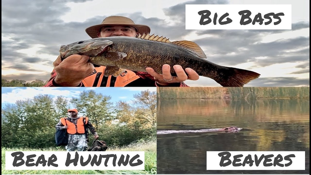 Northern Ontario Hunt Camp-Ep 2 / Big Bass / Bear Hunting / Beavers ...