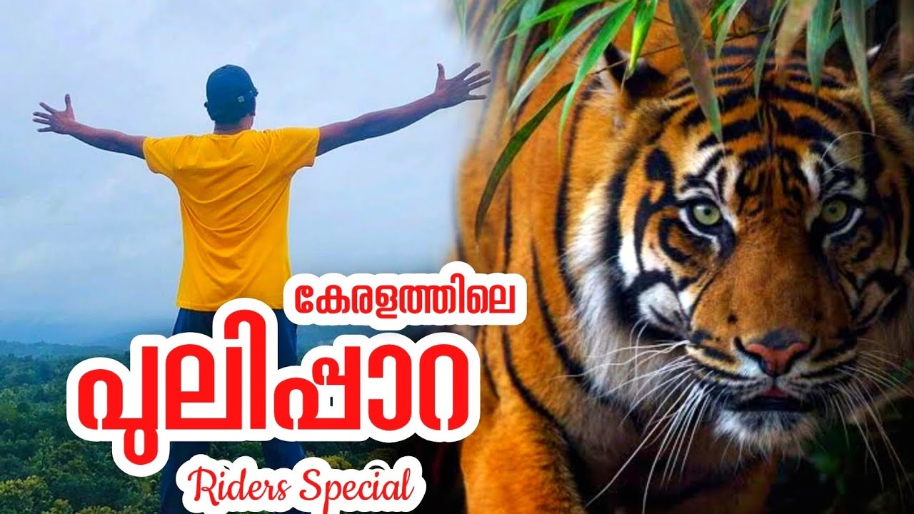 PULIYANIPARA | പുലിയിറങ്ങും പാറ KOMBANAD |Hidden nature beauty|Sapiens ...
