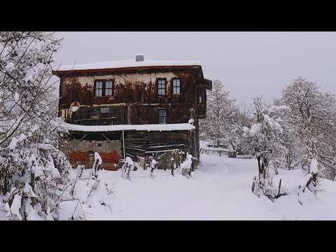 Köy ve Doğanın Sesi - Kısa Videolar - Nature Videos #köy #köyvlog #vlog #köyhayatımuhteşem