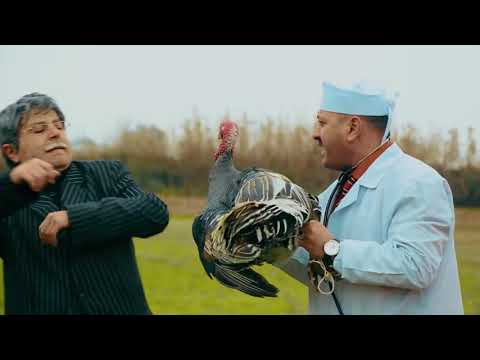 Bozbash Pictures Saatlı ANONS 21 12 2017, Saat 21 15