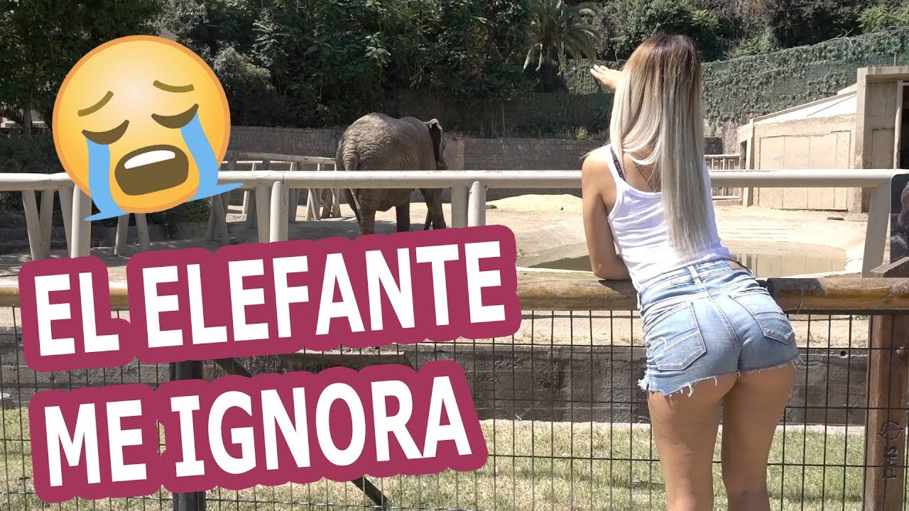 Barbie Rican y Jamsha en el zoologico de Chile - YouTube