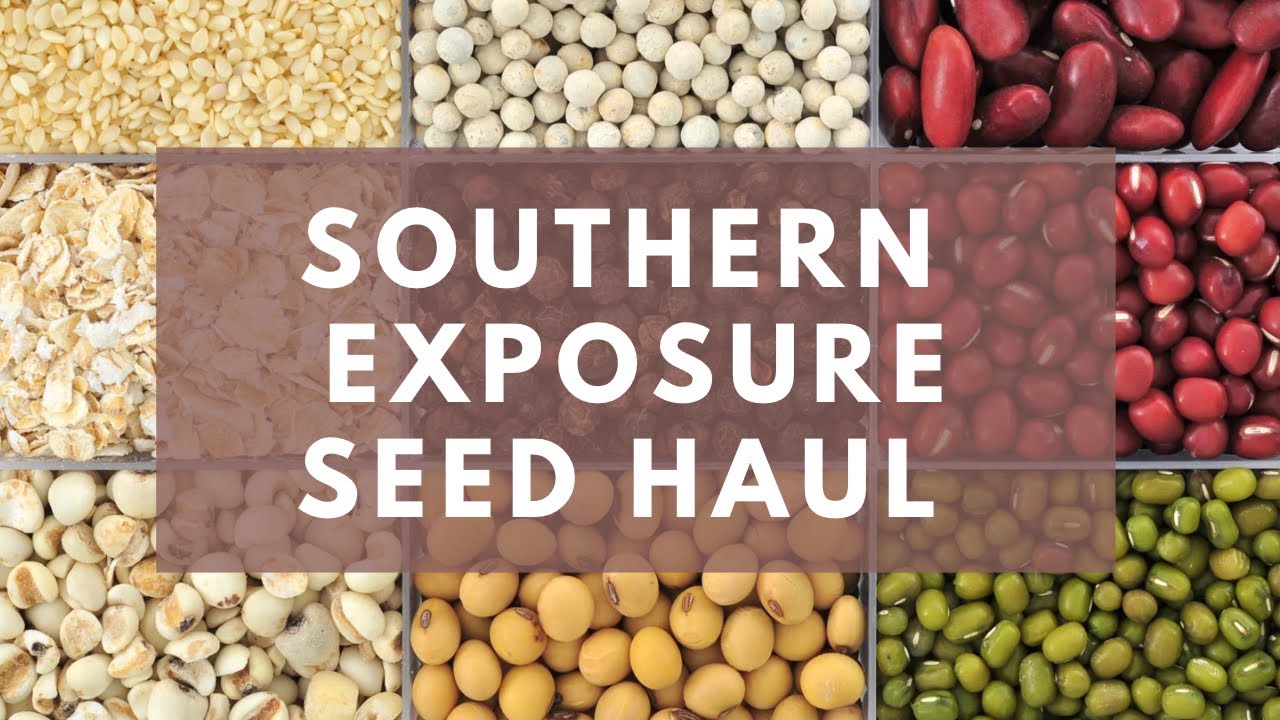 🌿 Southern Exposure Seed Haul 2025! What Am I Growing This Season?! 👀🌱 ...