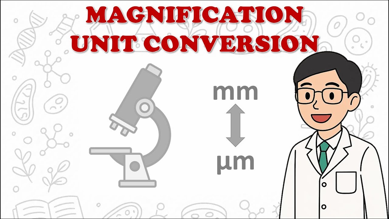 Magnification and Unit Conversion - YouTube